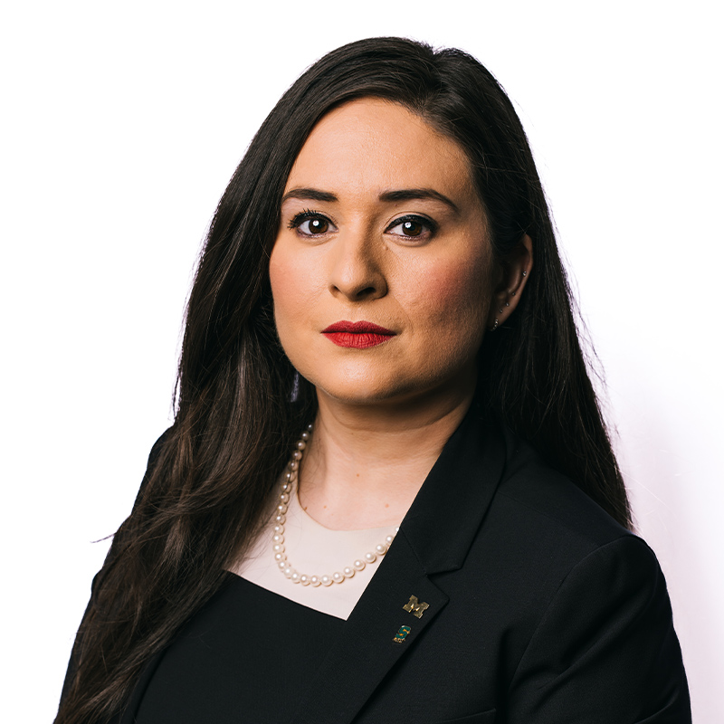 About Us | Fuerza Immigration Lawyers